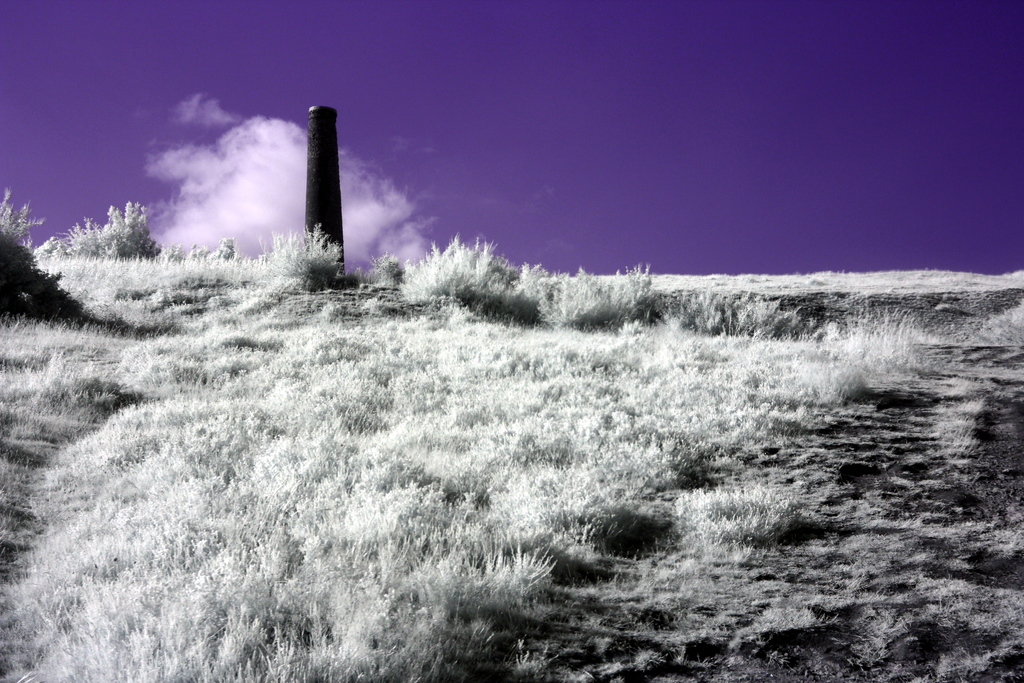 Ultraviolet photography – Jonathan Gazeley